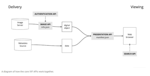 What is IIIF? | Mmmonk